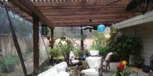 Custom Solarium & Patio Enclosures for your Plants! | Enclosure Guy